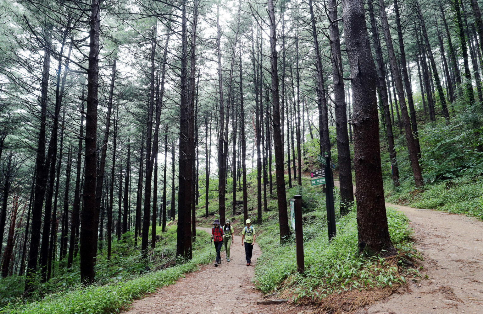 Korea Walking & Trail Association (South Korea) – World Trails Network